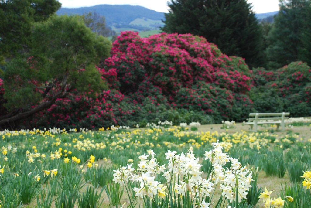 Garden Life – Lalla Flower Farm