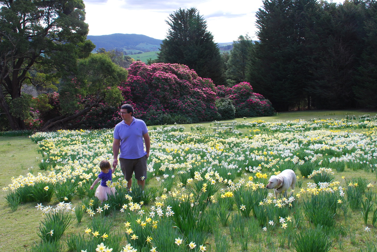 Lalla Flower Farm