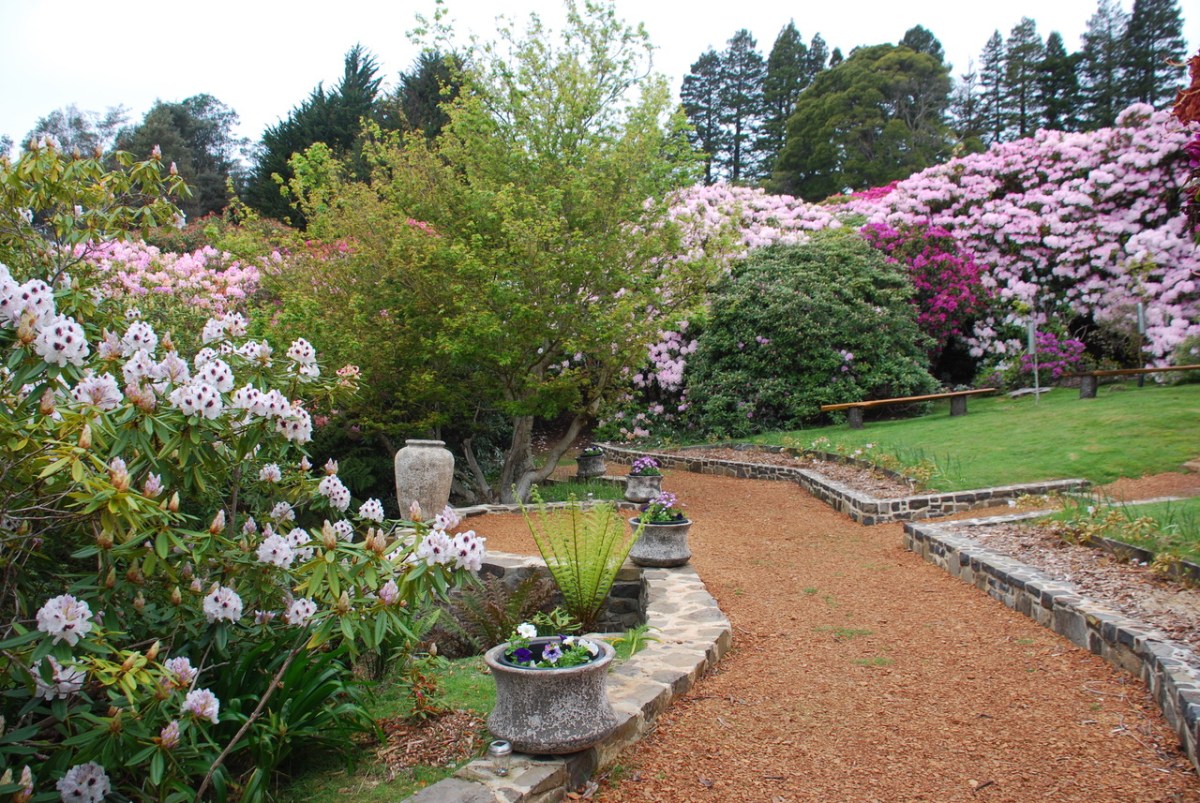 Lalla Flower Farm